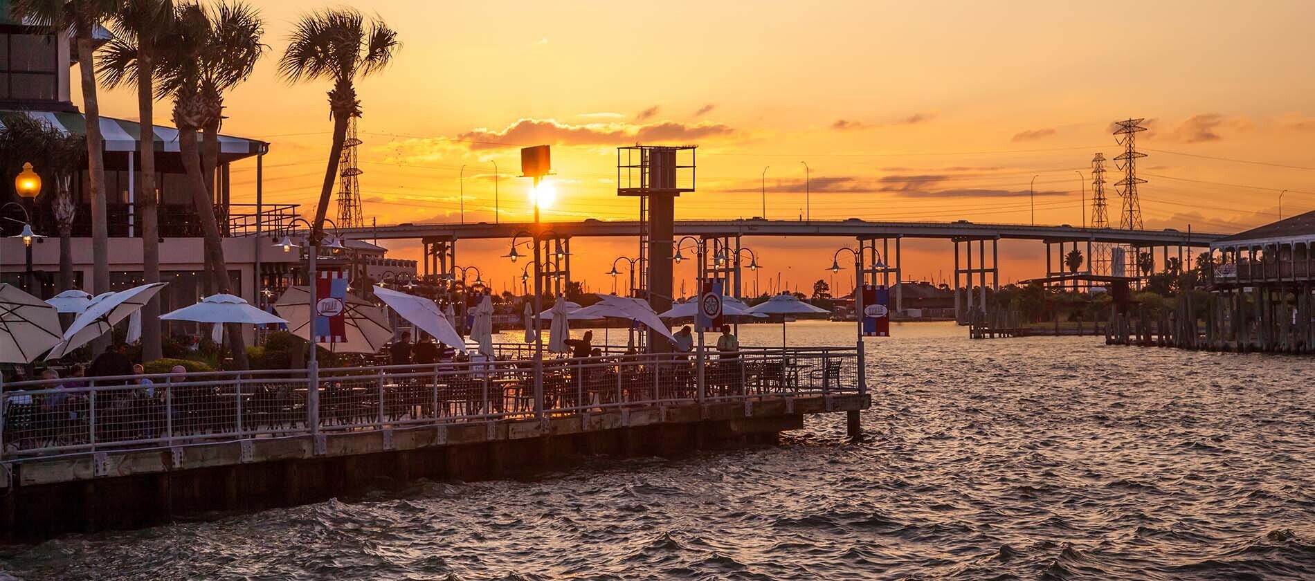 Who’s Running for Office in the Bay Area? | Bay Area Houston